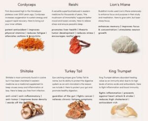 RYZE Superfood Mushroom Matcha Review (2024) – Ryze Matcha Reviews